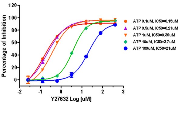 Rho-associated Kinase (ROCK) Activity Assay | CSA001